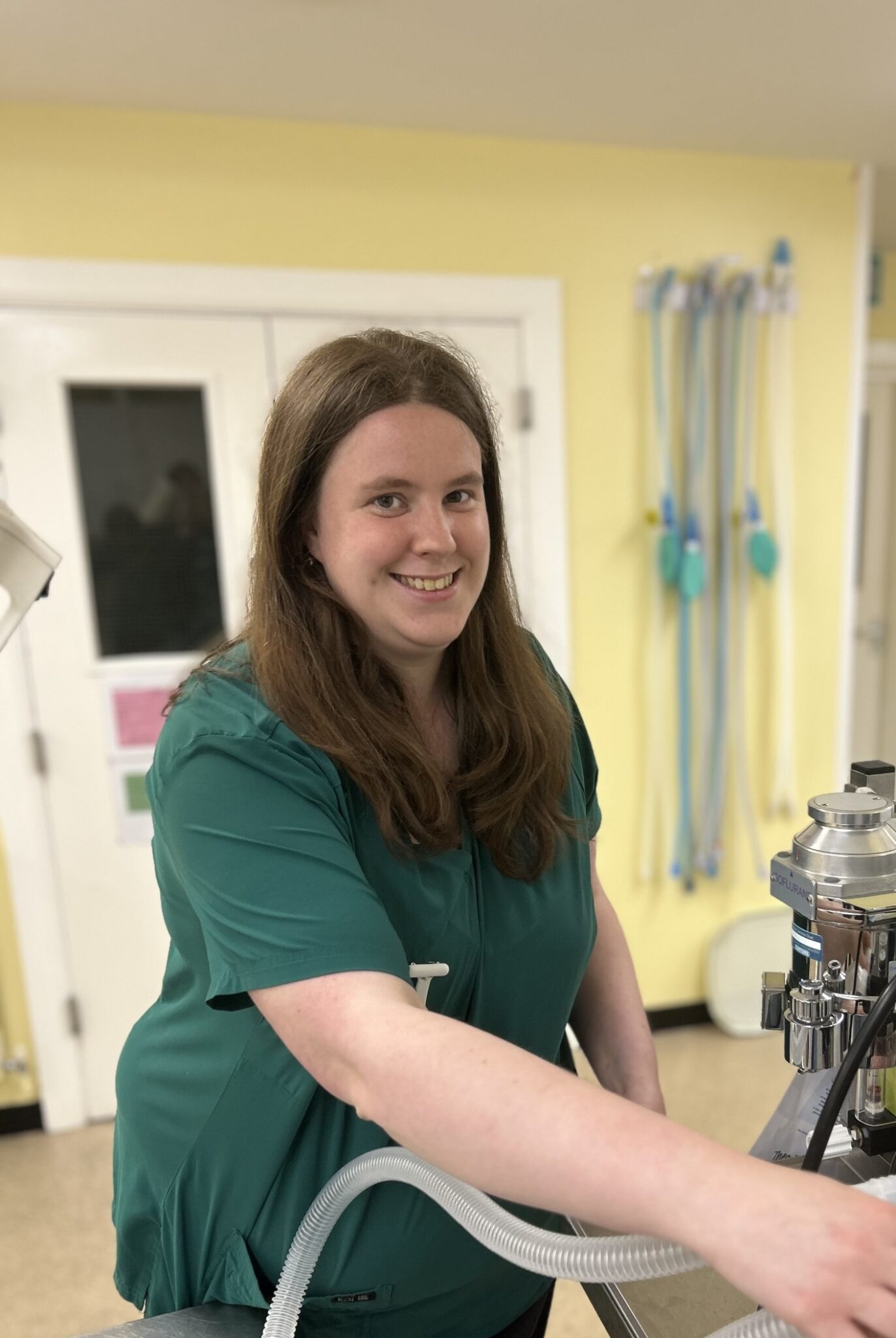 Alex Bowhay – Milestone Veterinary Centre